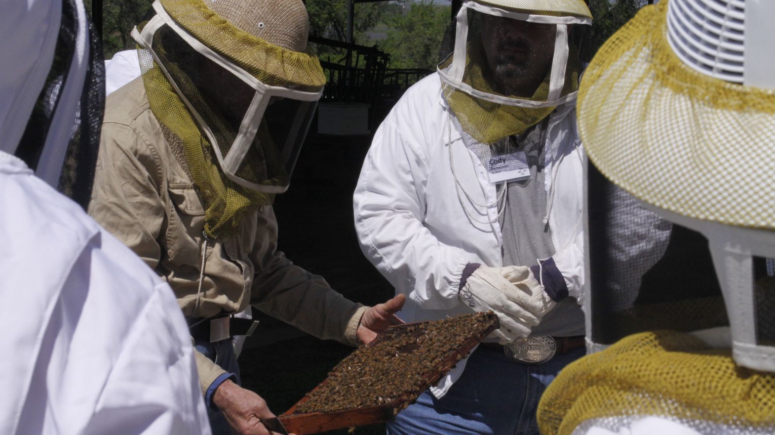 Central Texas Beekeepers School accepting students Central Texas Beekeepers School accepting students