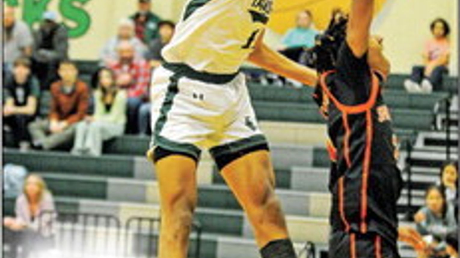 Ducks grounded by Tigers