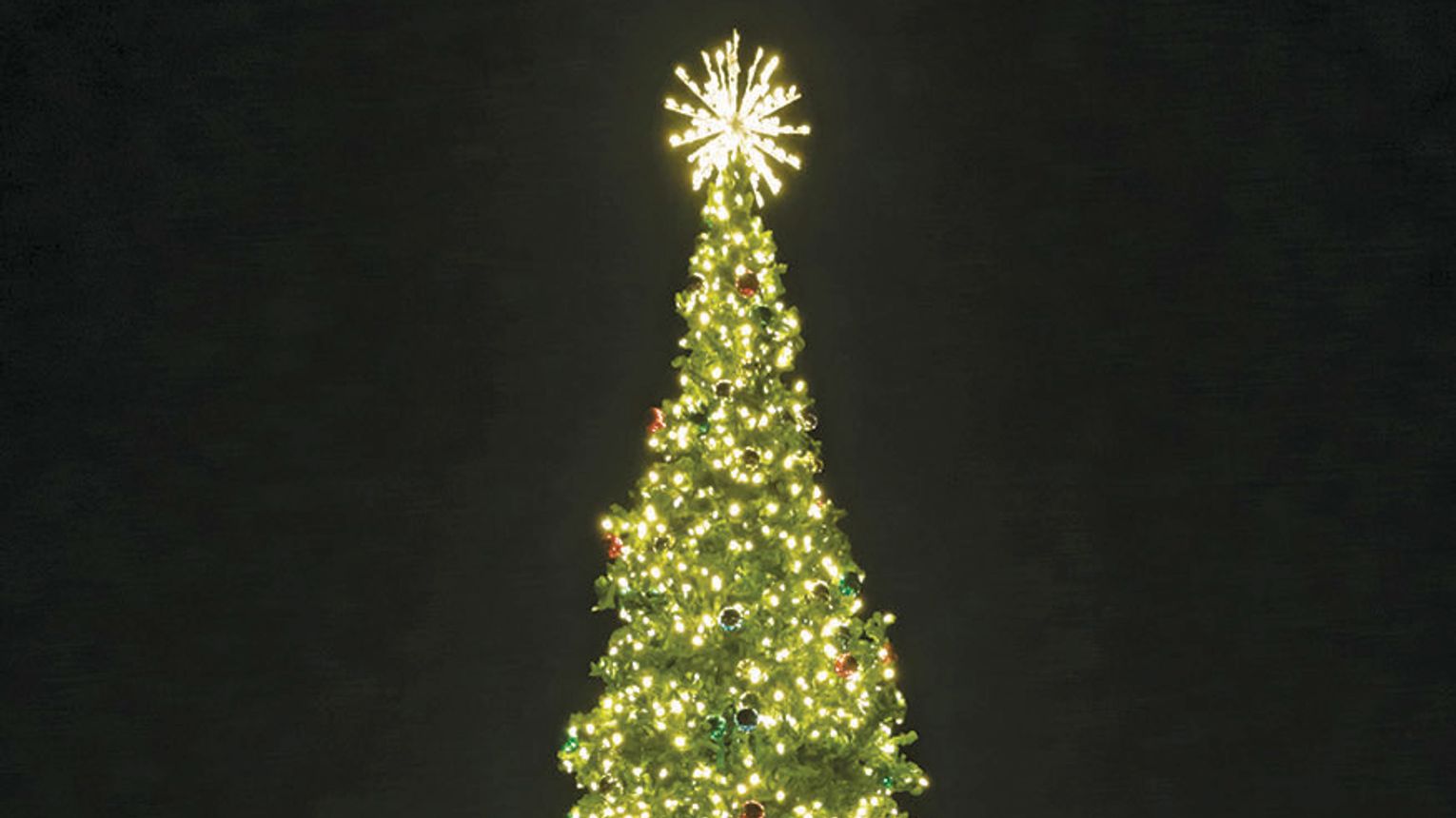 Hutto hosts annual tree lighting, drone show
