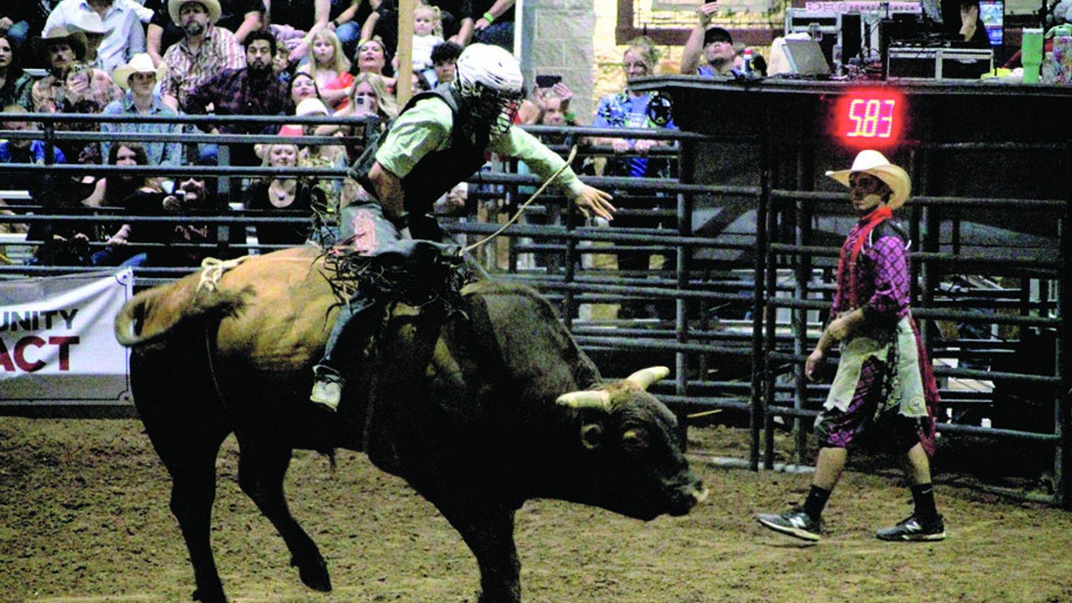 No bull: Professional team holding tryouts