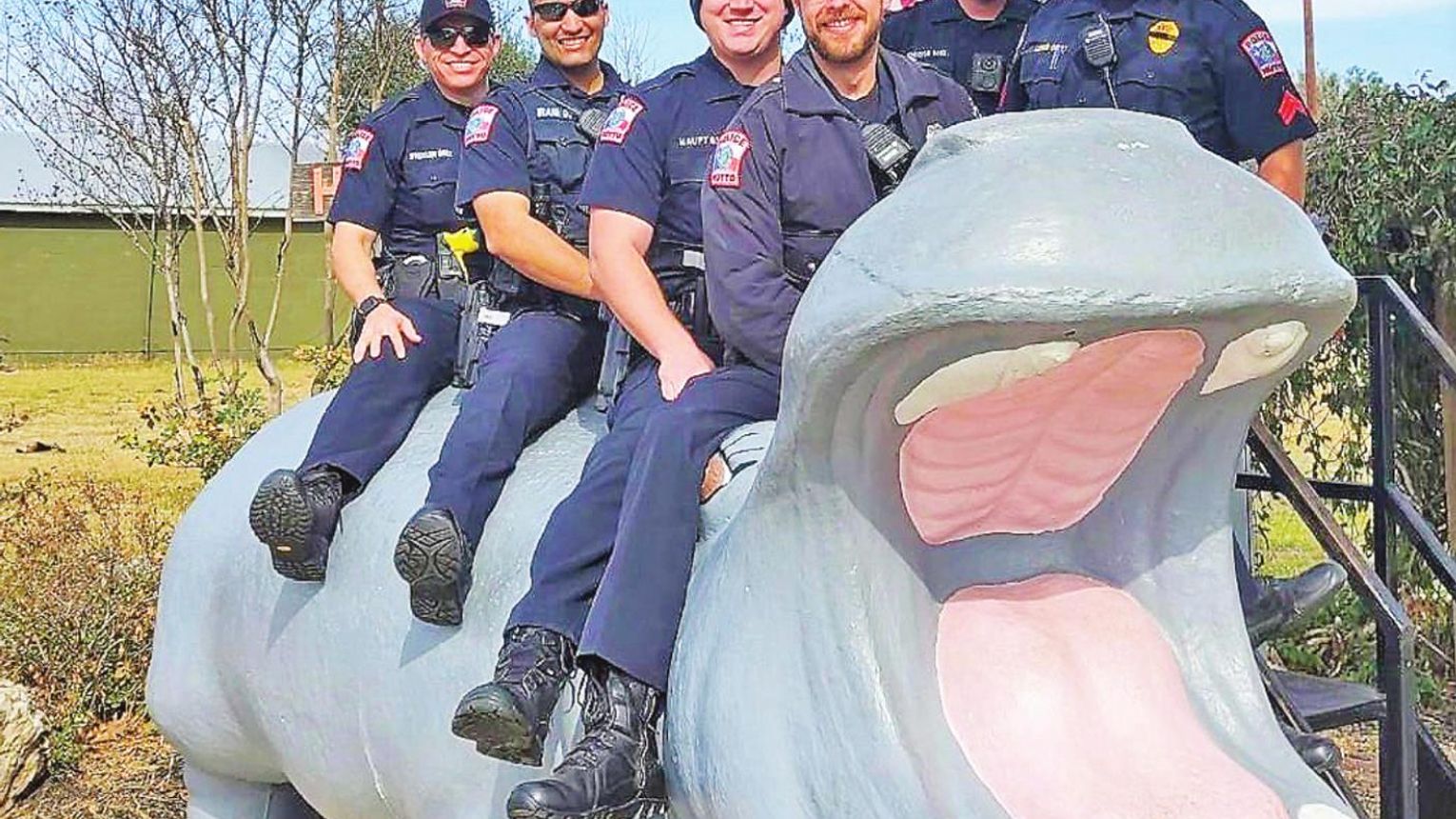 Photo a Hippo to celebrate