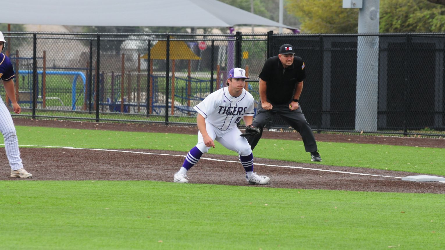 Tigers rally past Hornets