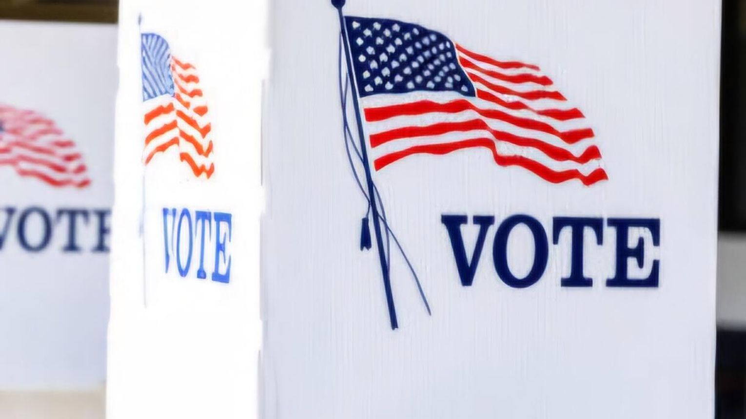 Voting results 2026 primary election